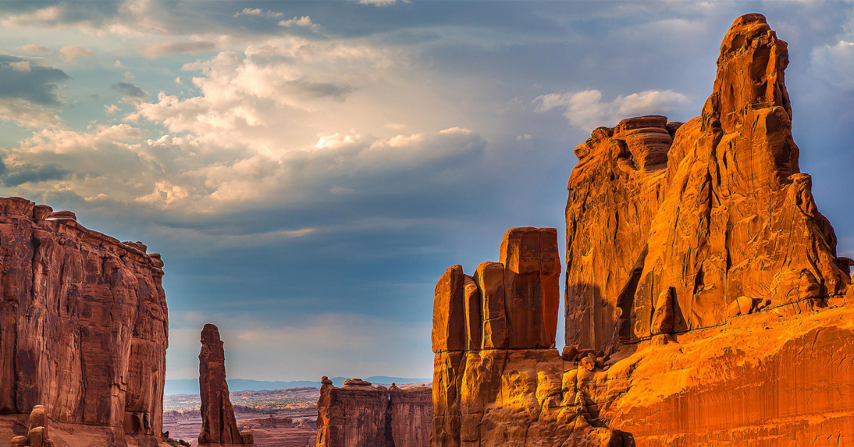 About Us - Rabbit Rentals