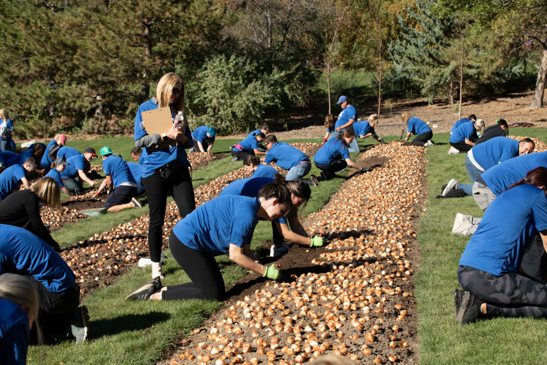 Exploring the Tulip Fields with Ford Transit 15 Passenger Van
